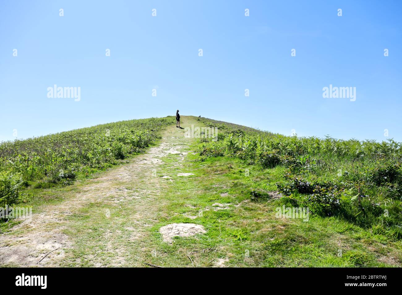 Long cam down hi-res stock photography and images - Alamy