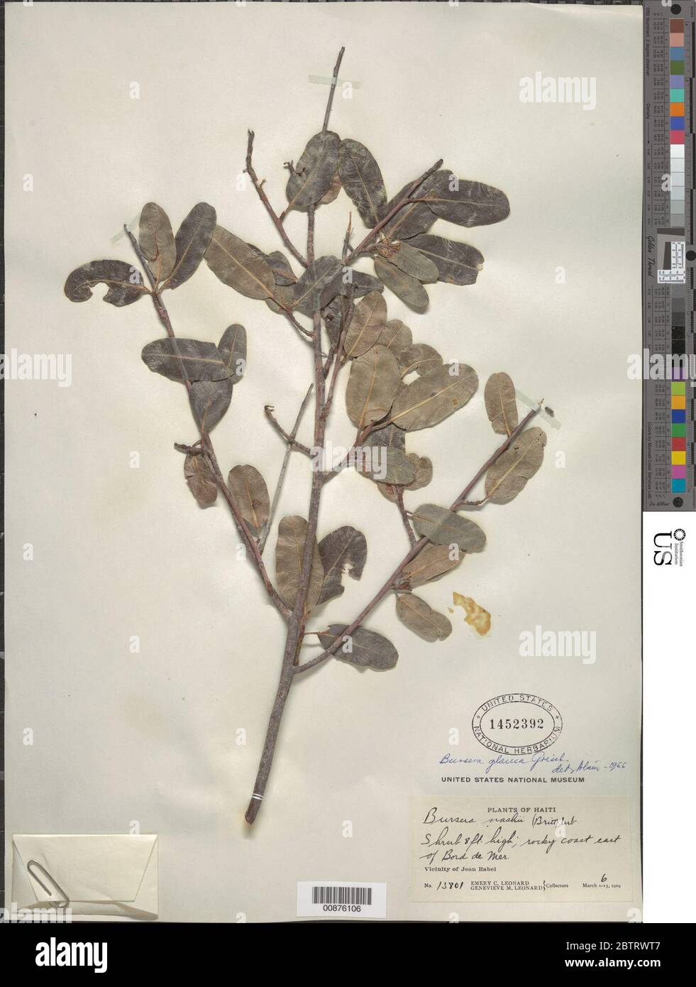 Nashii hi-res stock photography and images - Alamy