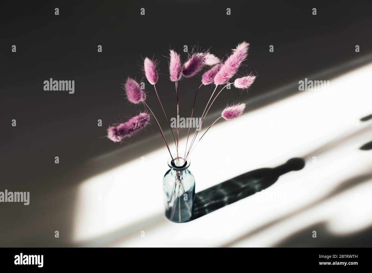 Light effect in bottle hi-res stock photography and images - Alamy