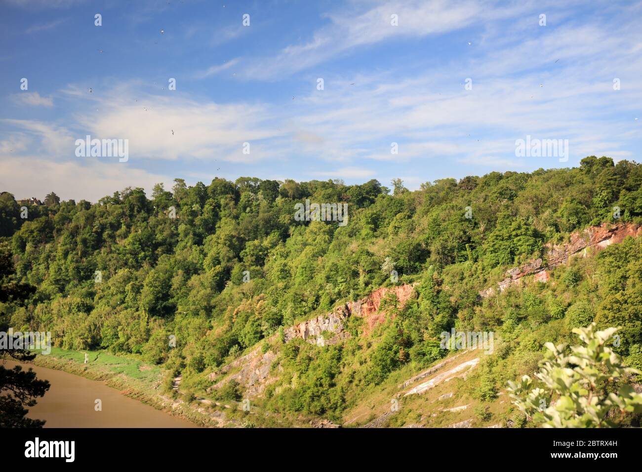 The Avon Gorge Bristol, England Stock Photo - Alamy