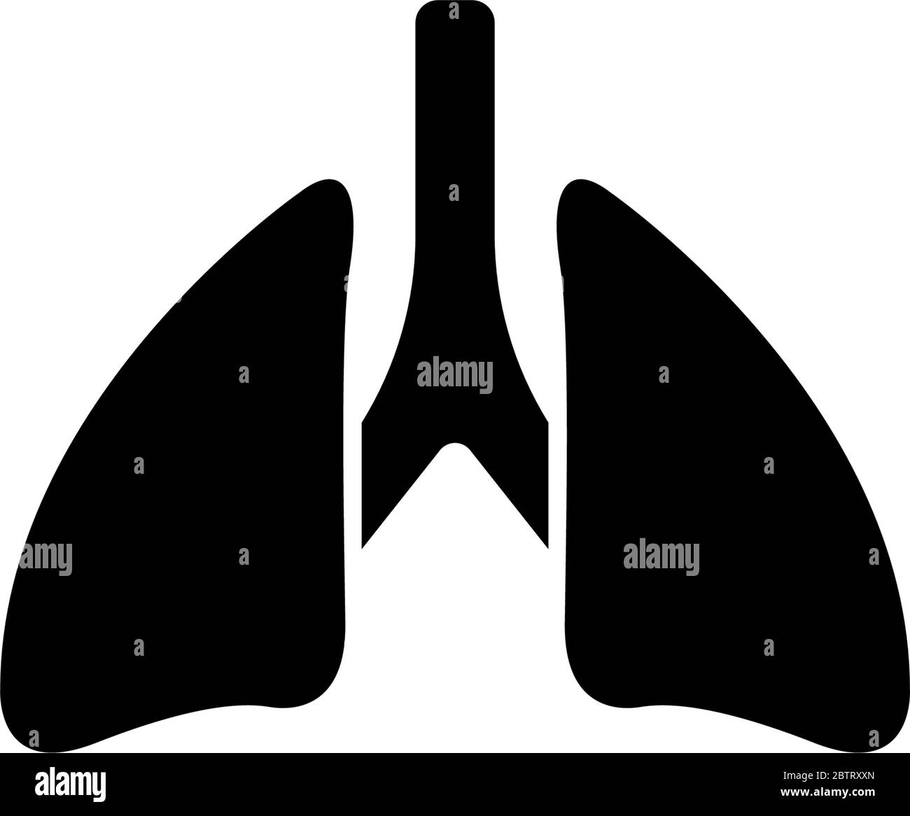 Lungs, Respiratory System, Human Organ. Flat Vector Icon illustration ...