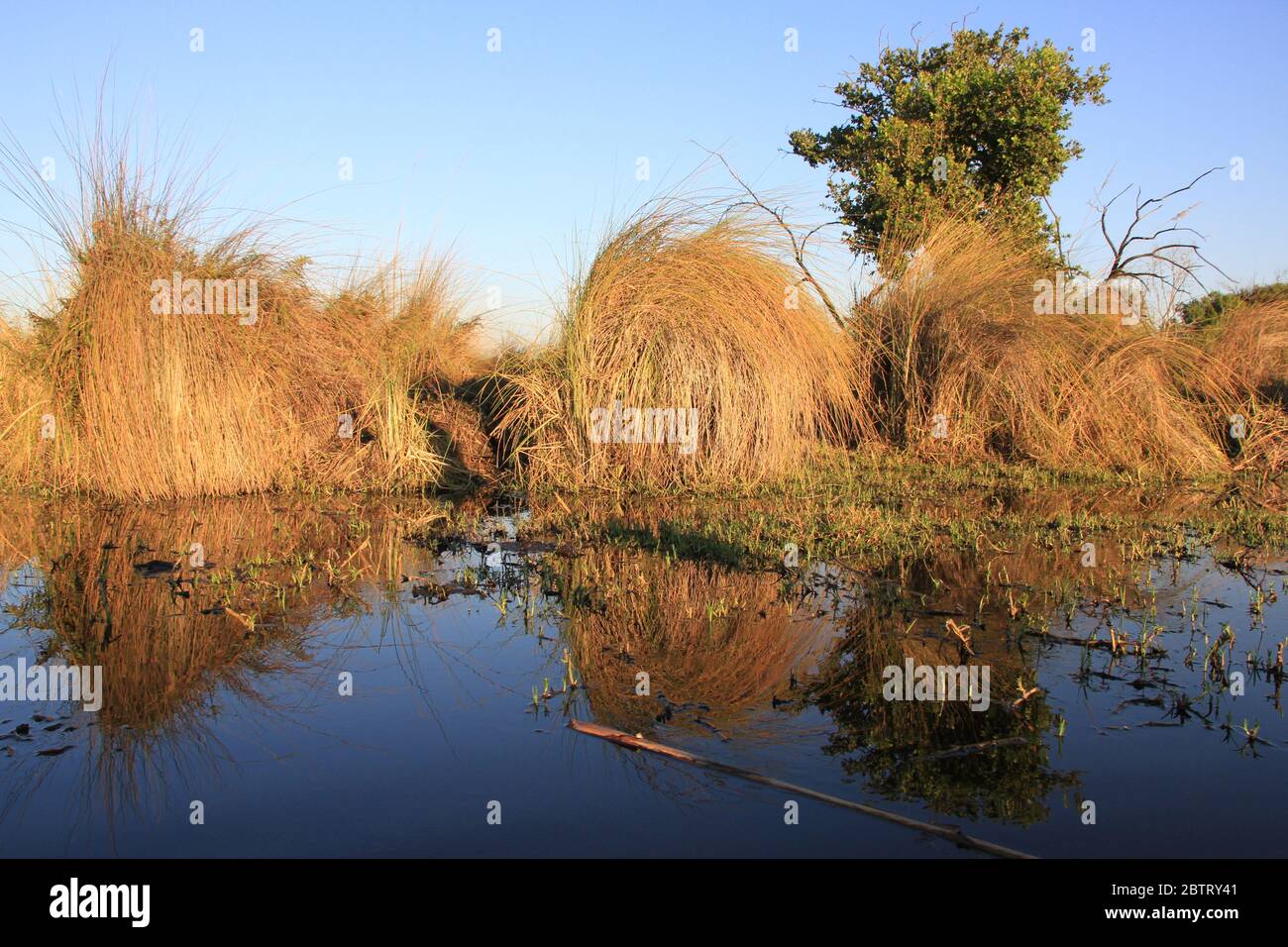 Mokoro boat hi-res stock photography and images - Alamy