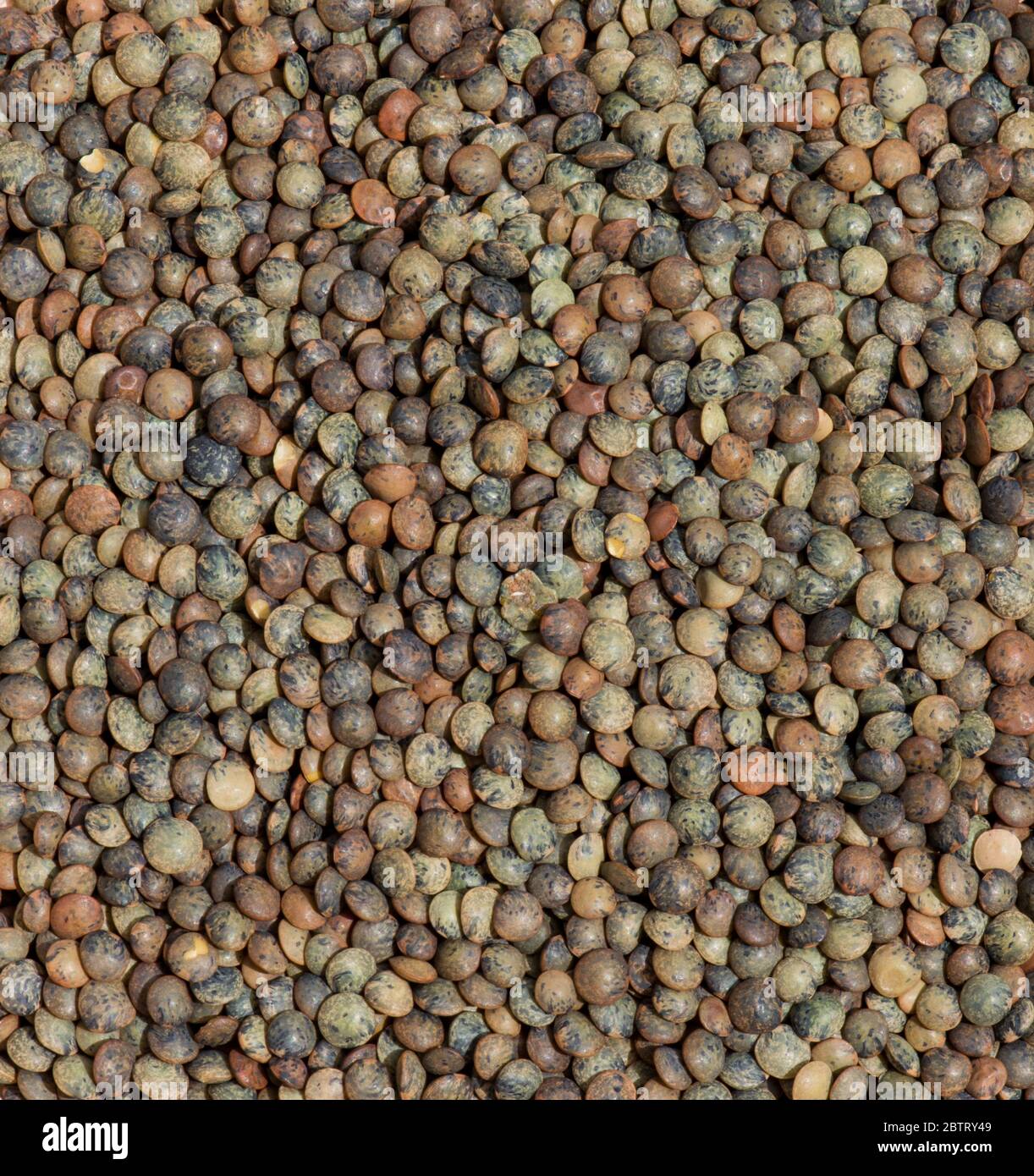 Le puy lentils hi-res stock photography and images - Alamy