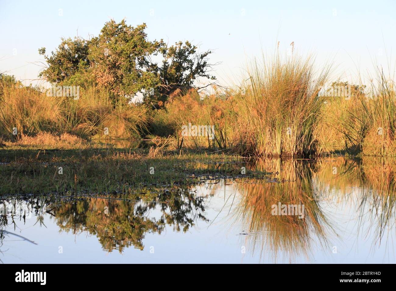 Mokoro boat ride hi-res stock photography and images - Alamy