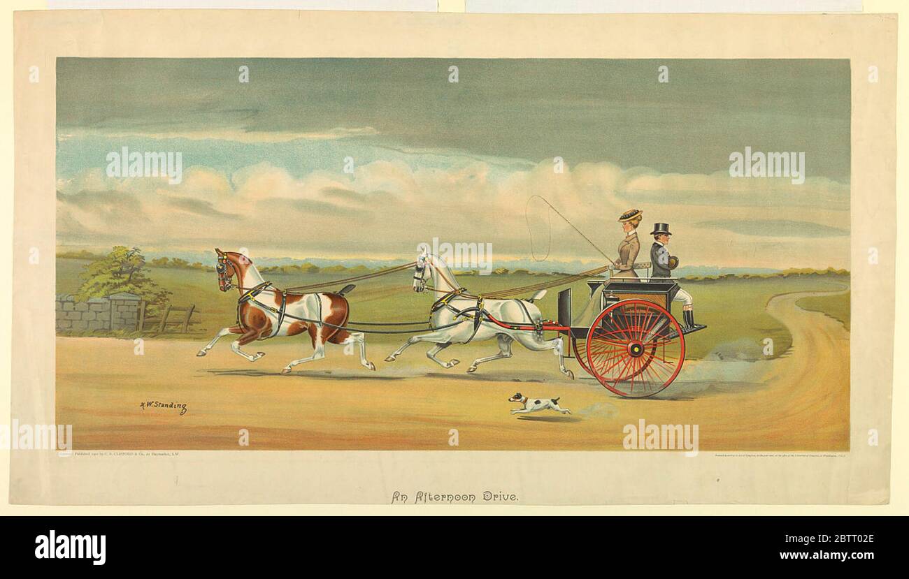 A woman driving horse carriage hi-res stock photography and images - Alamy