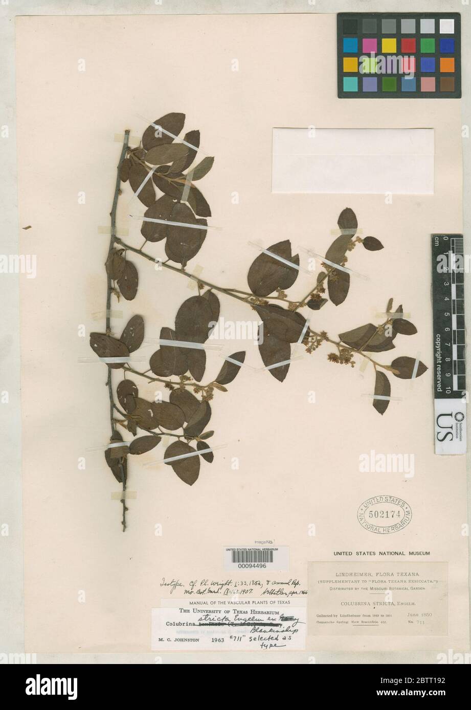 Blank ex hi-res stock photography and images - Alamy