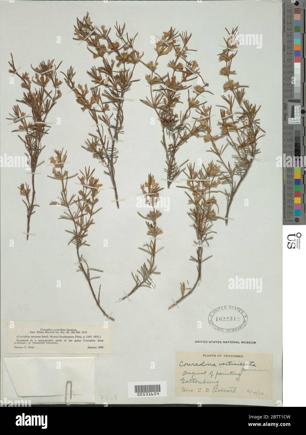 Jennison hi-res stock photography and images - Alamy