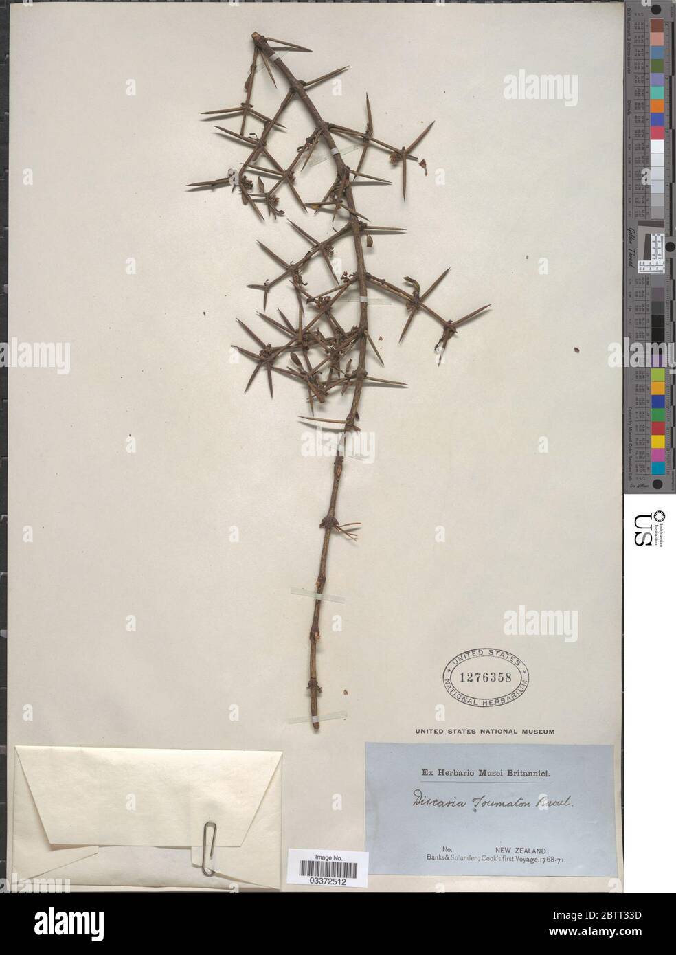 Discaria hi-res stock photography and images - Alamy