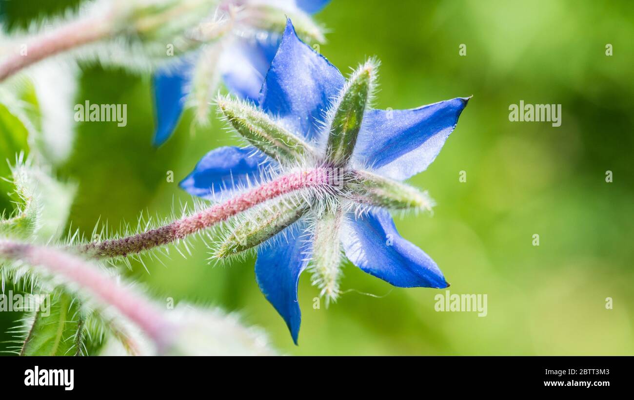 Blue reverse hi-res stock photography and images - Alamy