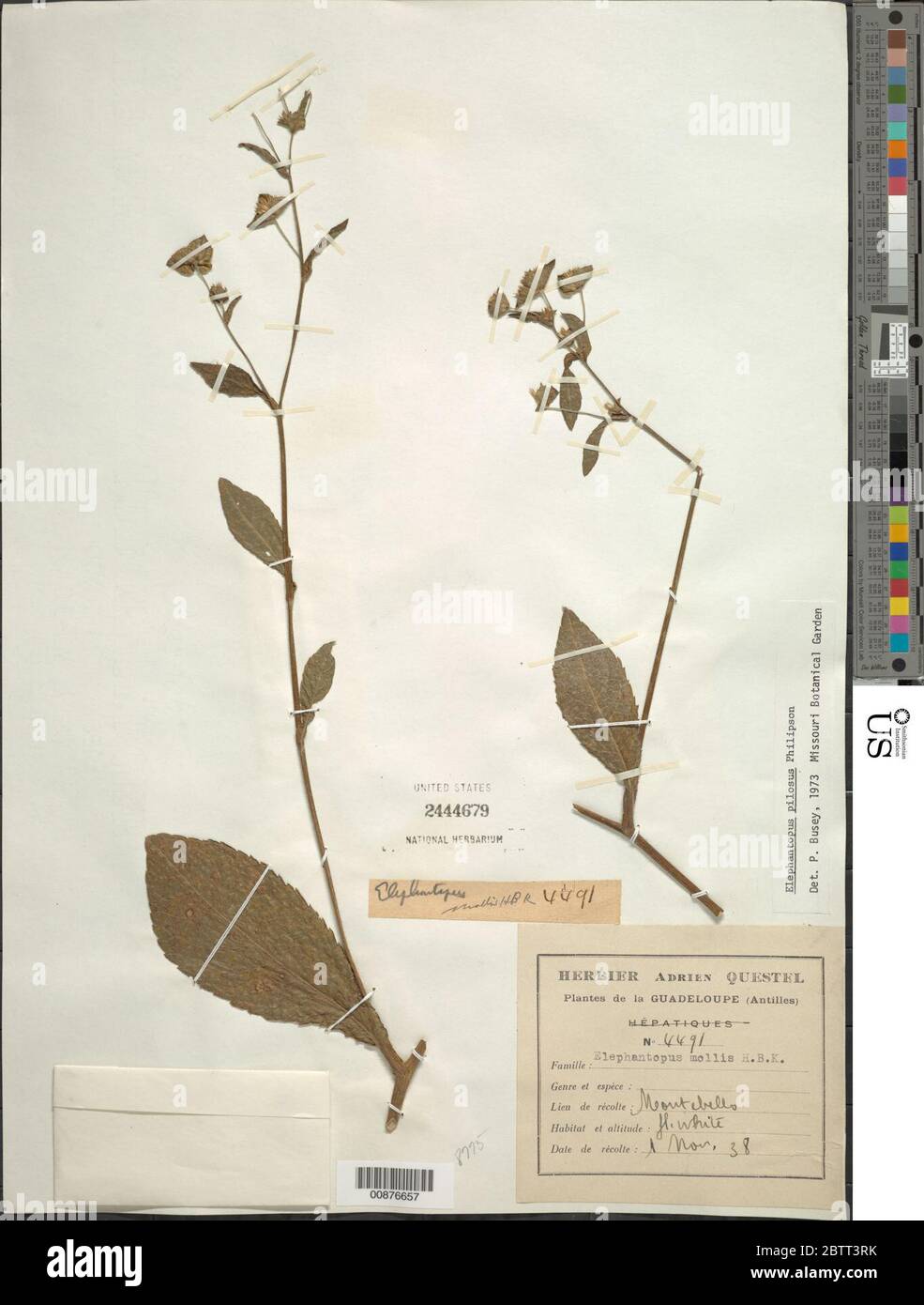 Philipson hi-res stock photography and images - Alamy