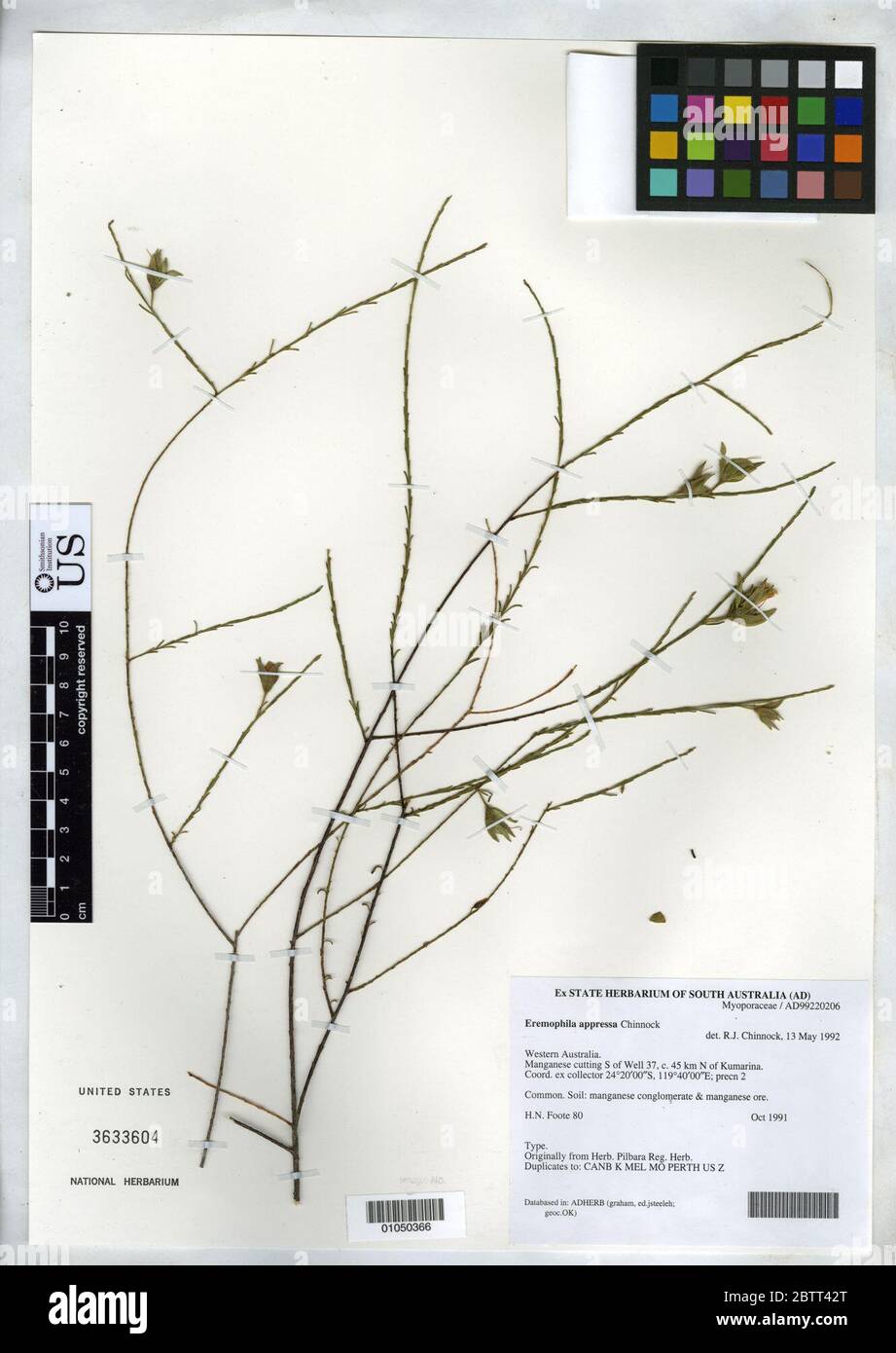 Chinnock hi-res stock photography and images - Alamy