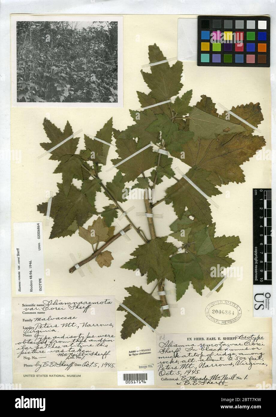 Remota hi-res stock photography and images - Alamy