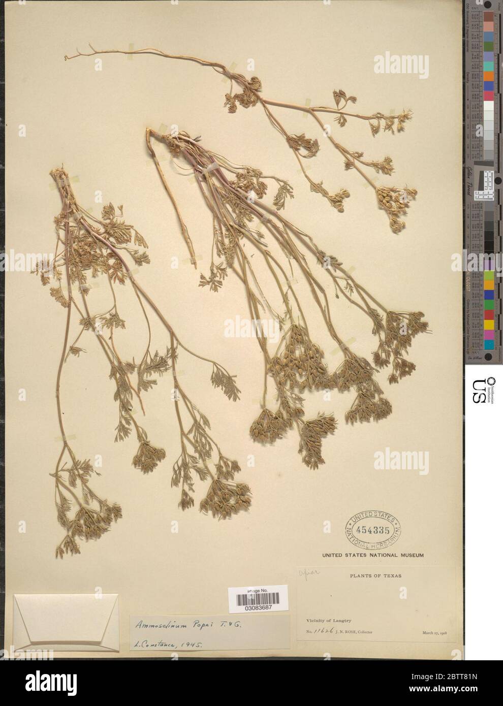 Popei hi-res stock photography and images - Alamy