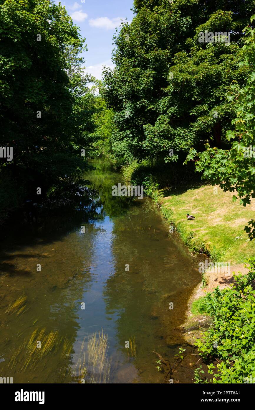 Lush flowing water hi-res stock photography and images - Alamy
