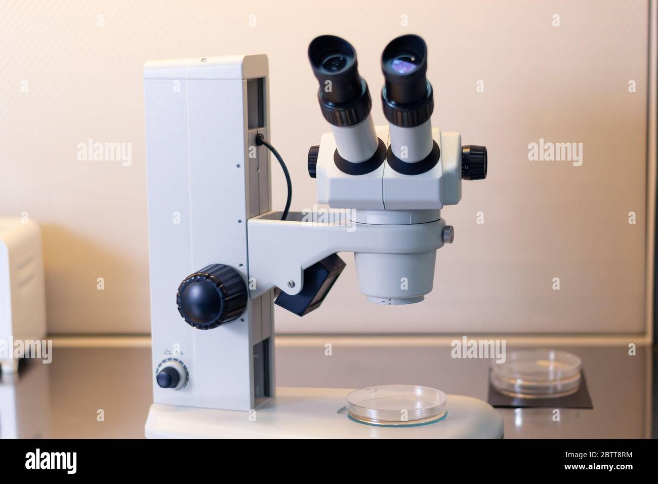 Stereo microscope inside a laminar flow cabinet used to tissue culture ...
