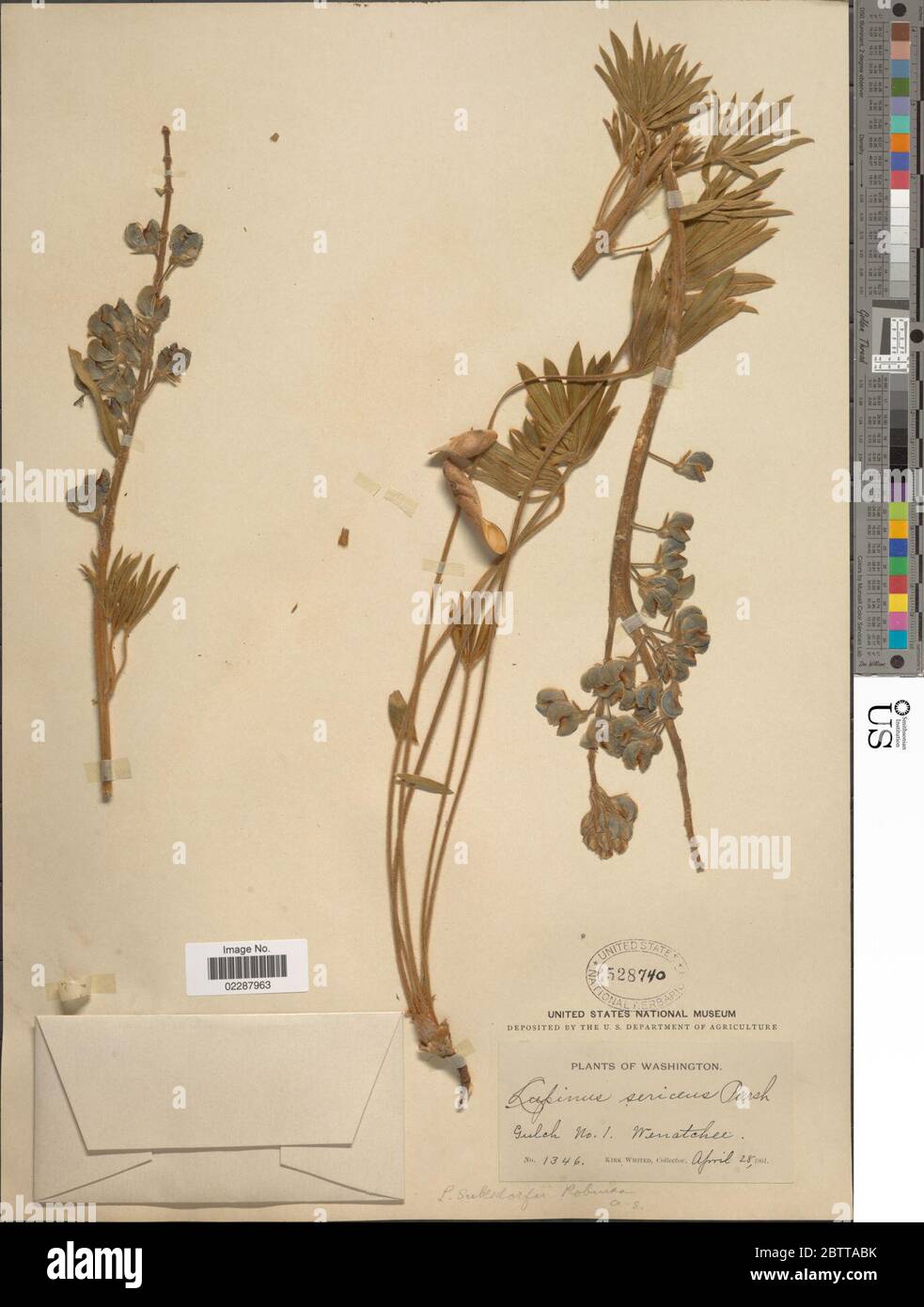 Rob piper hi-res stock photography and images - Alamy