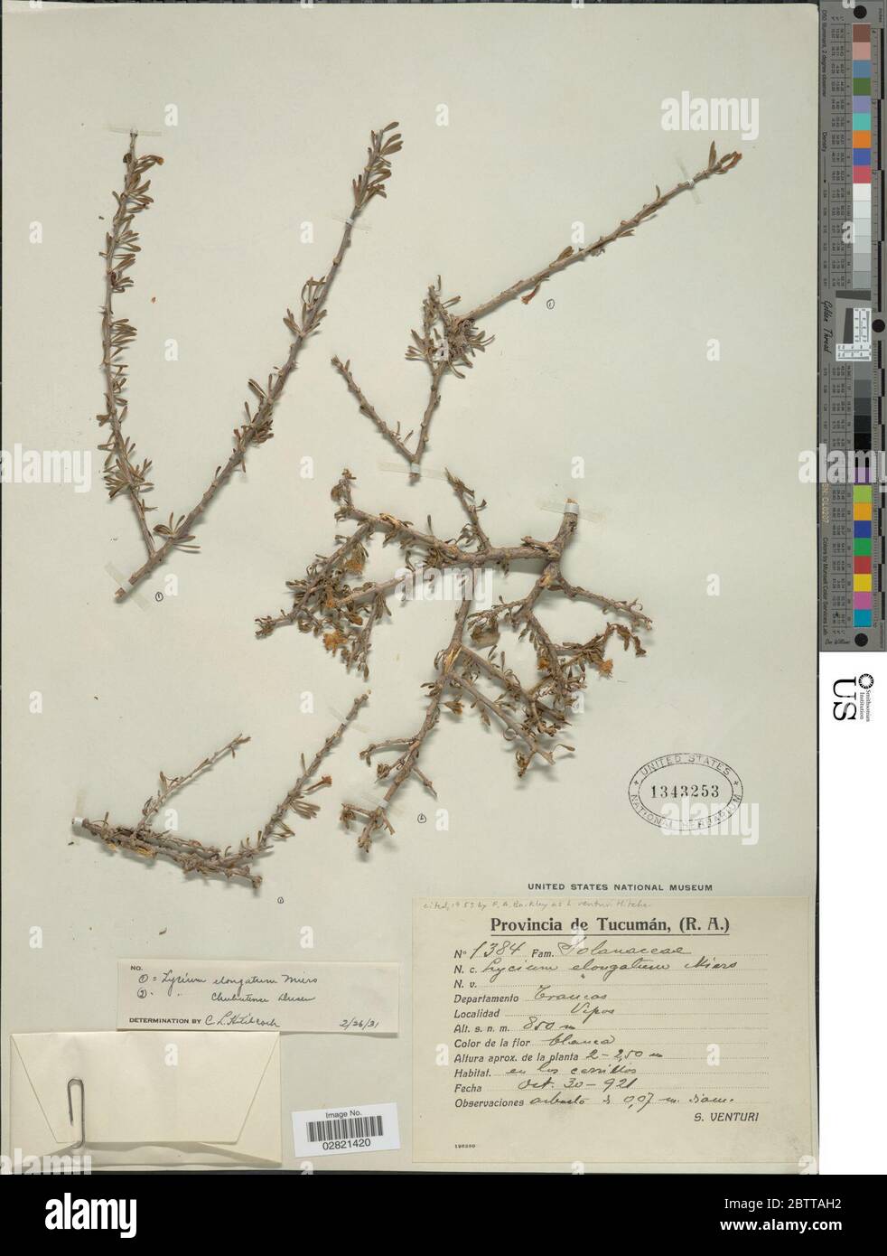 Miers hi-res stock photography and images - Alamy