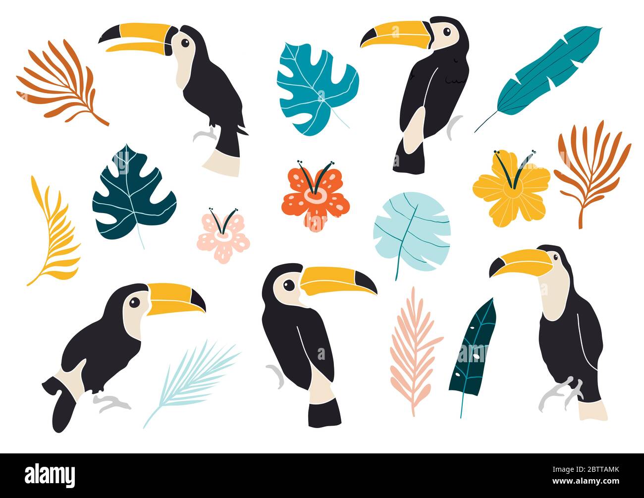 Tropical Background. Toucan Bird, Cactus, Flowers. Seamless Pattern ...