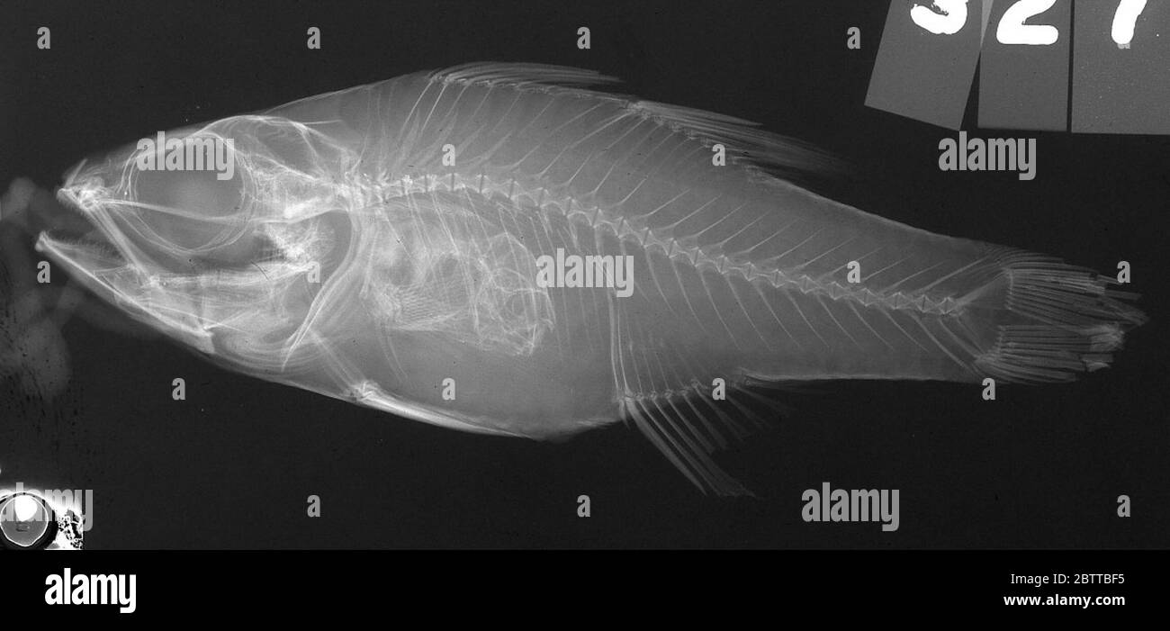 30 dec hi-res stock photography and images - Alamy