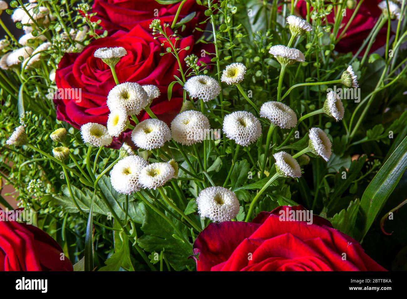 Bouquet lights hi-res stock photography and images - Alamy