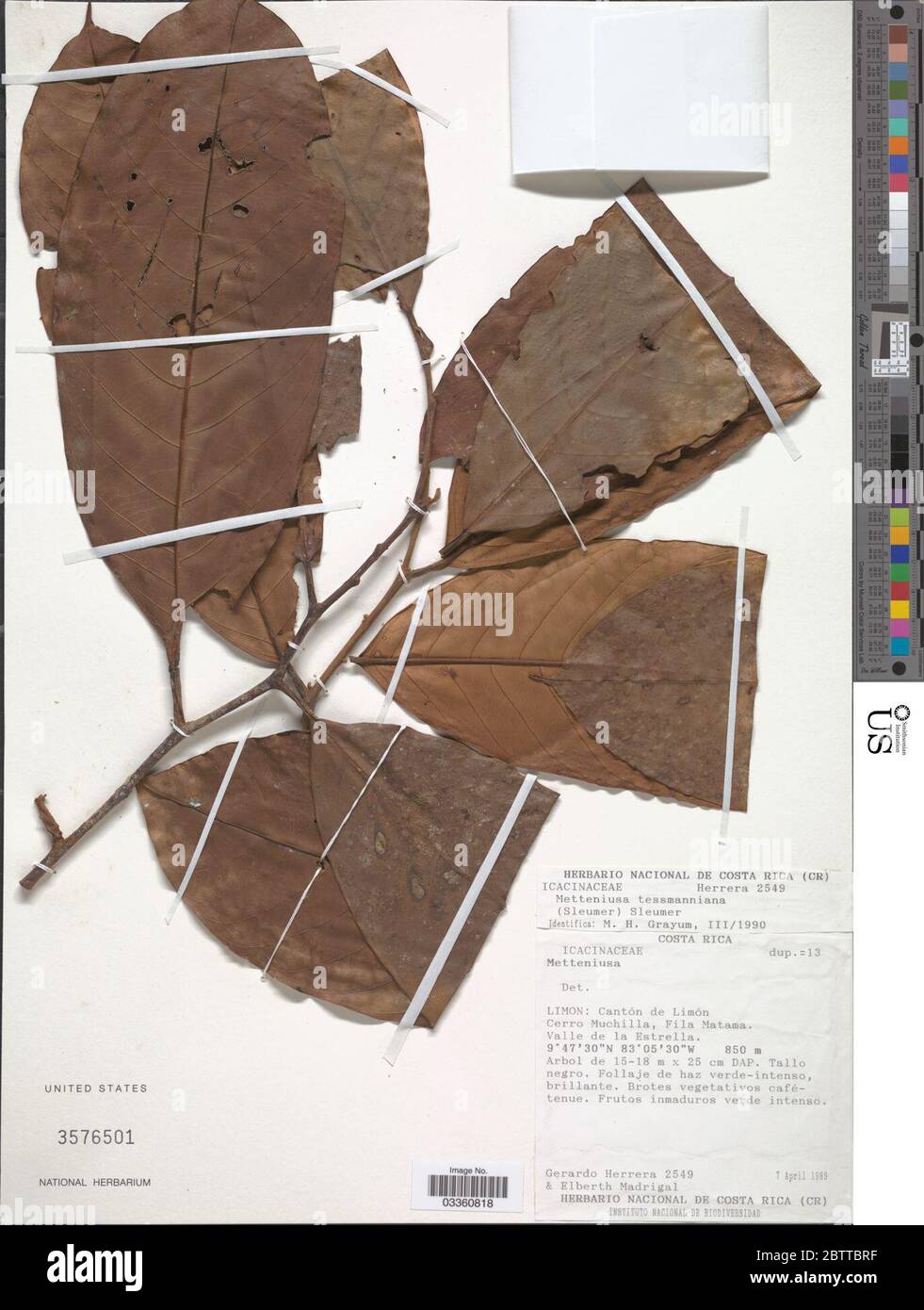 Sleumer hi-res stock photography and images - Alamy