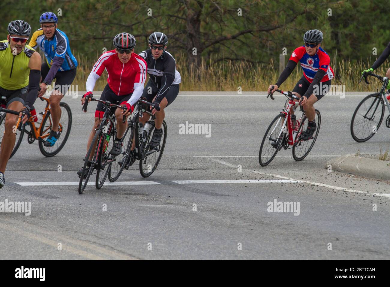 Scenic Bike Race, large group, in full racing gear and uniform. Outdoor ...