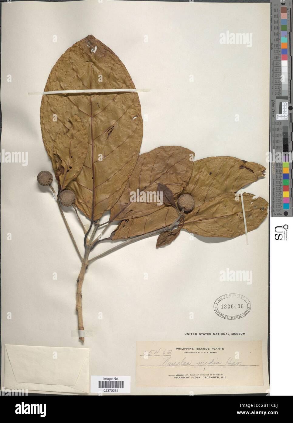 Havil hi-res stock photography and images - Alamy