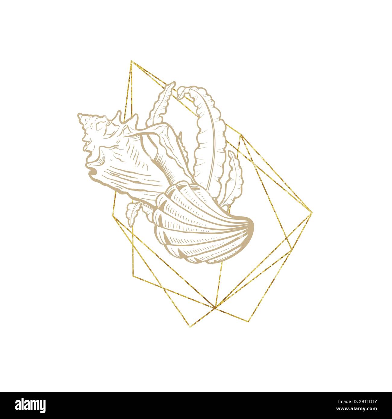 Marine line art wreath, sketch seashell and starfish, vector gold ...