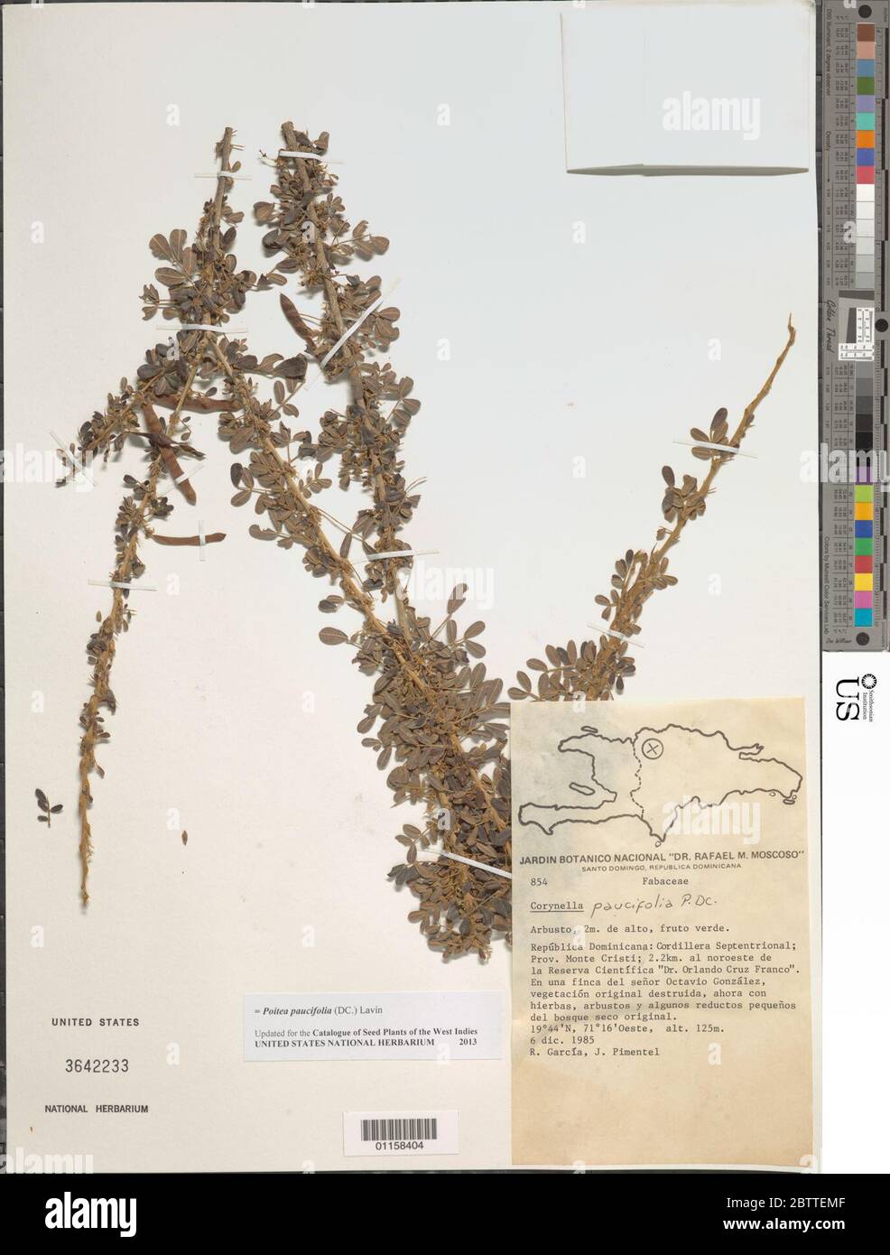 Poitea hi-res stock photography and images - Alamy