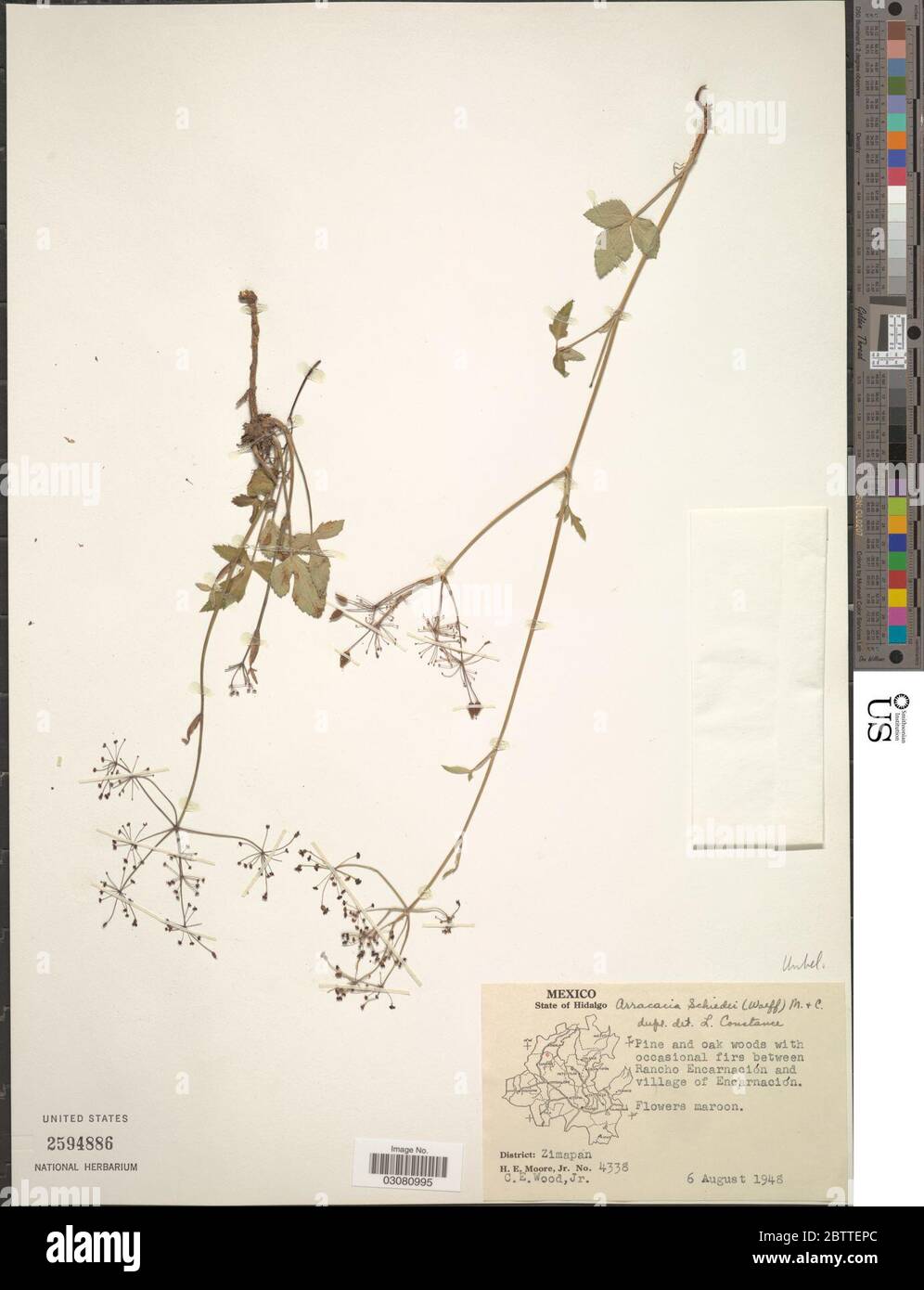 Mathias wolff hi-res stock photography and images - Alamy