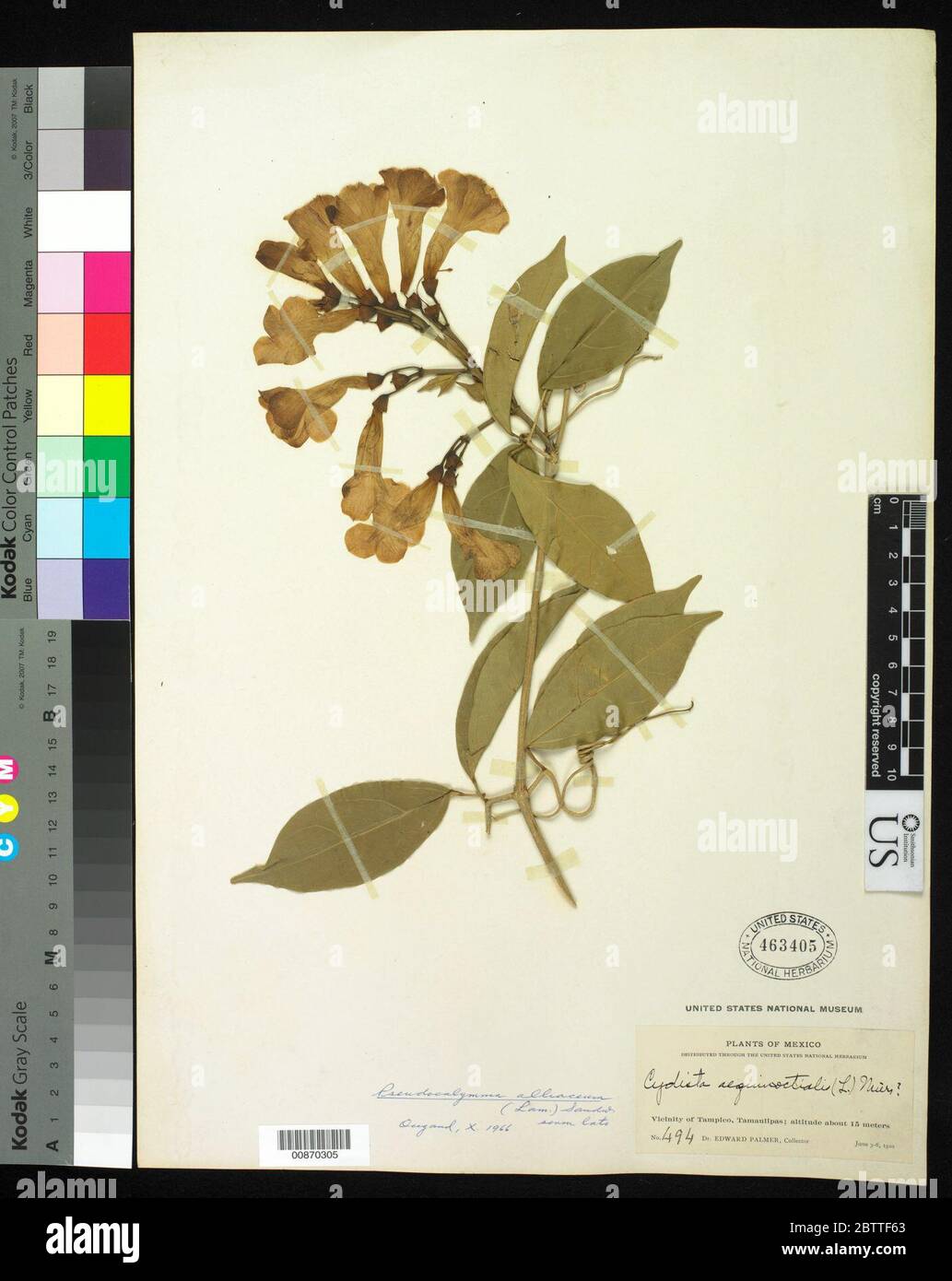 Sandwith hi-res stock photography and images - Alamy