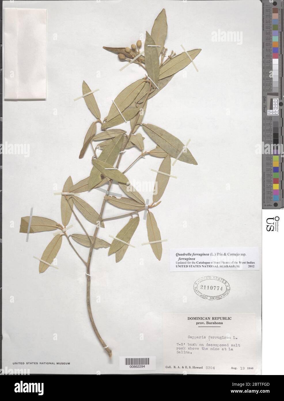 Quadrella hi-res stock photography and images - Alamy