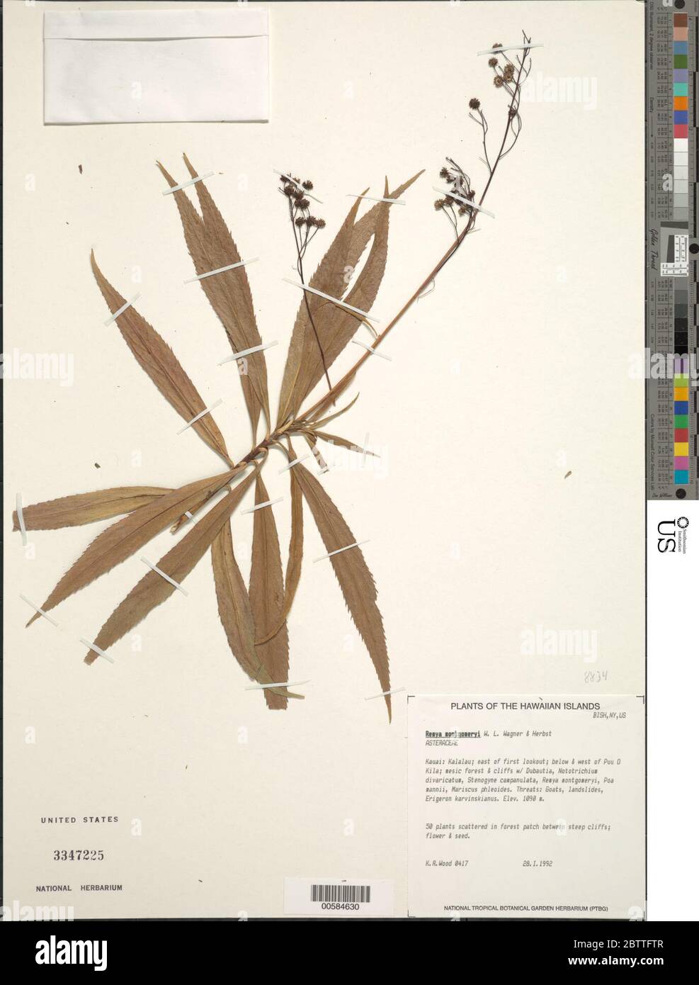 Remya hi-res stock photography and images - Alamy