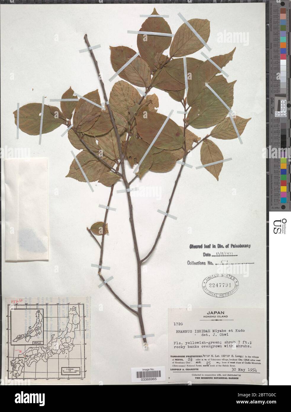 Miyabe High Resolution Stock Photography and Images - Alamy