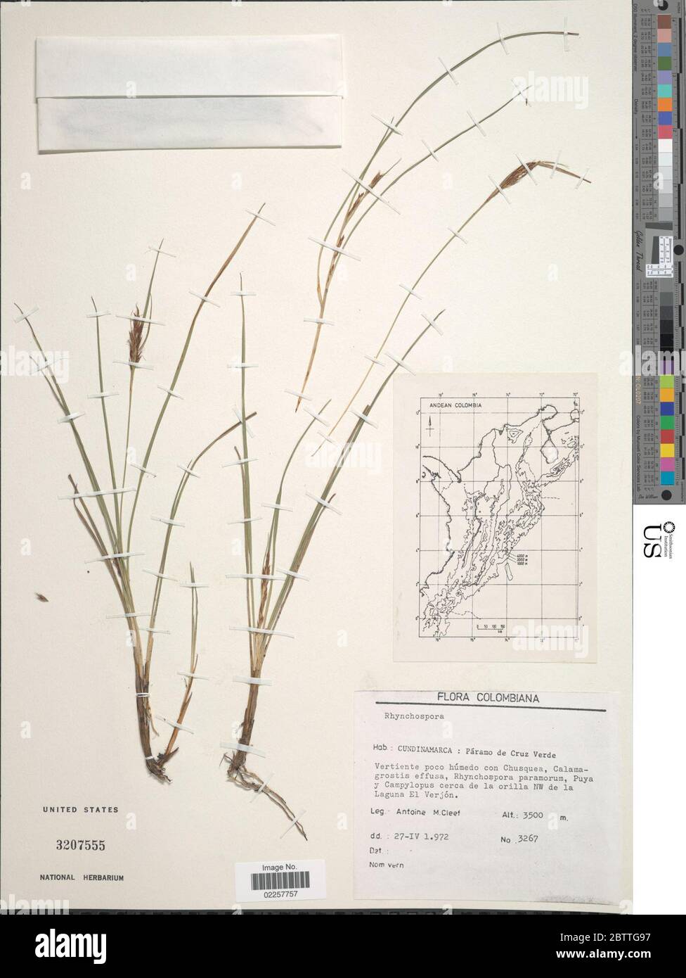 Grasses research hi-res stock photography and images - Alamy