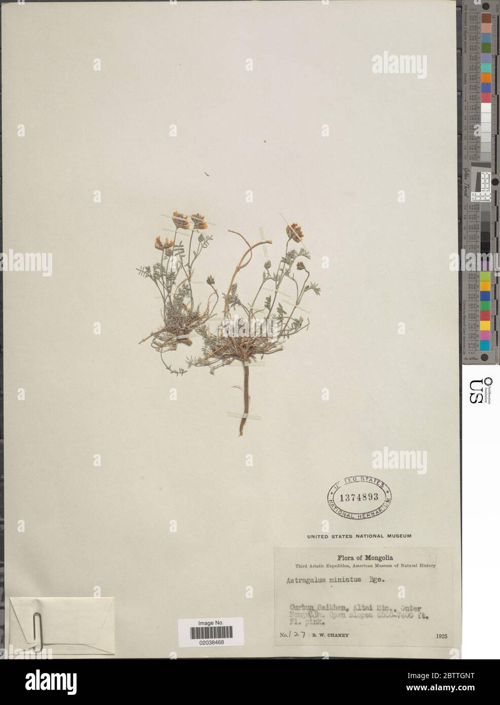 Miniatus hi-res stock photography and images - Alamy