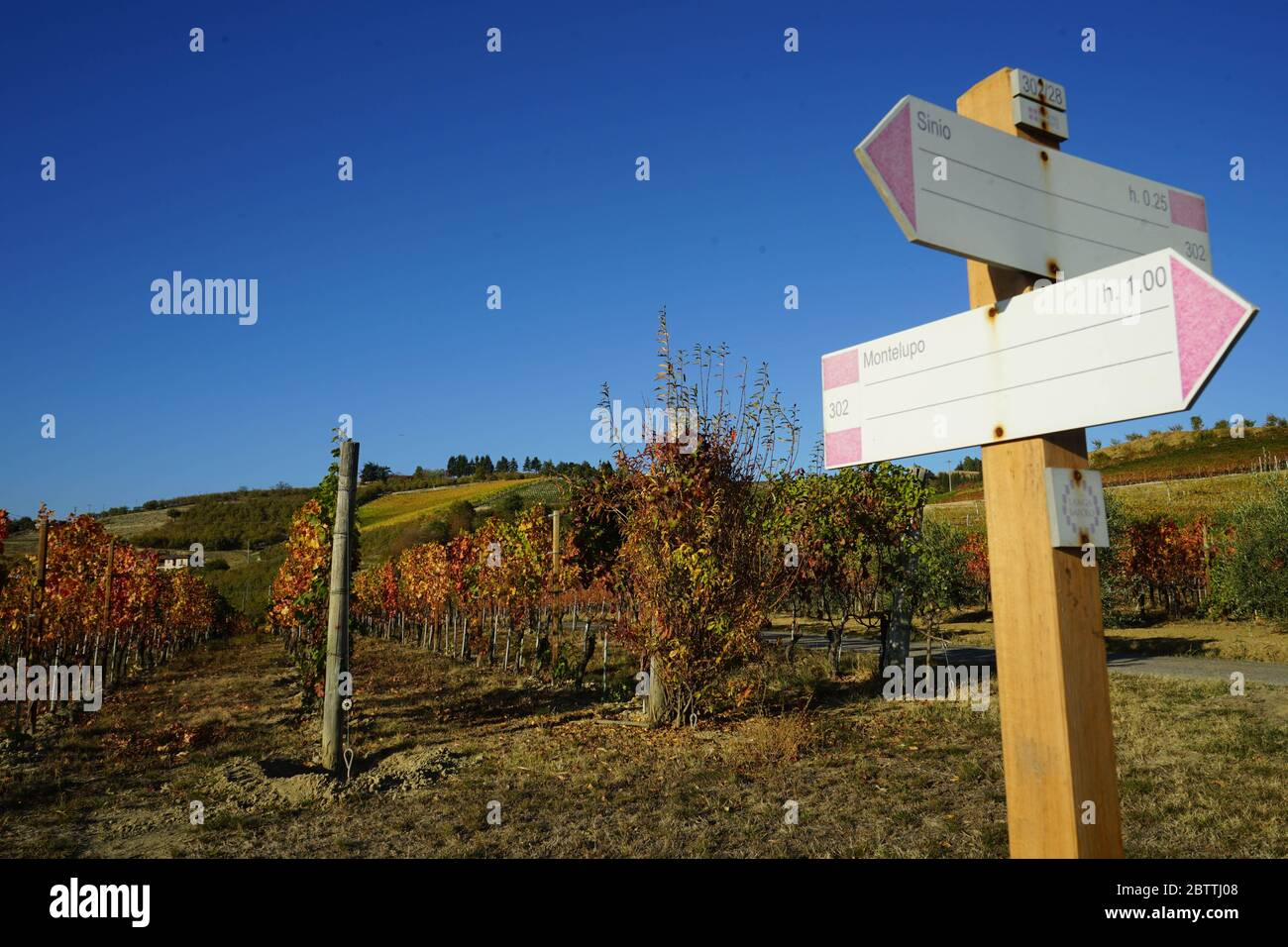 Hiking trails in the hills of Langhe, Piedmont - Italy Stock Photo - Alamy