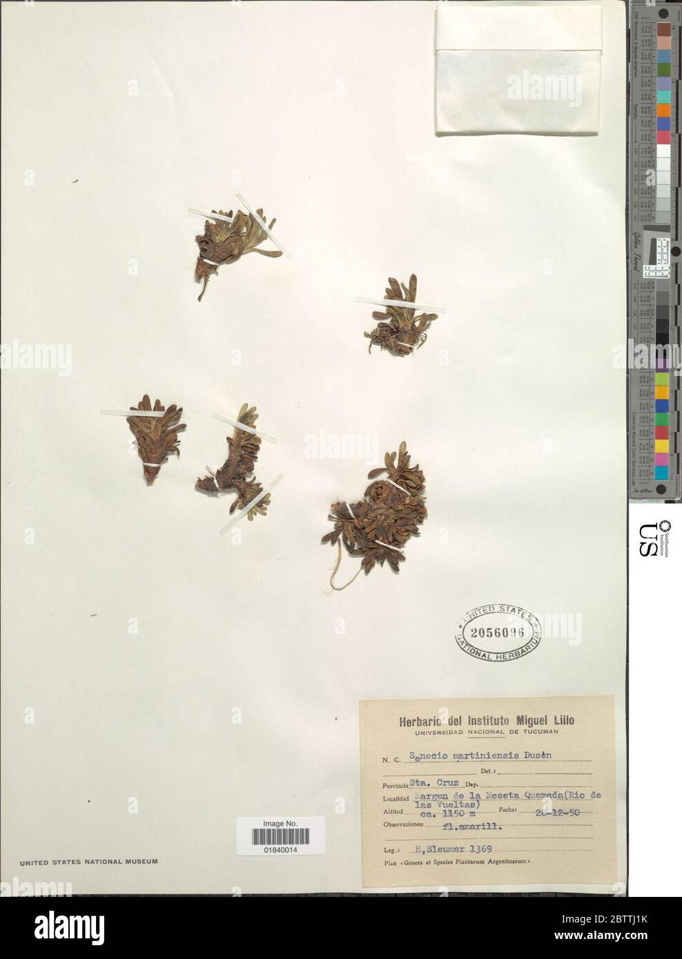 Dusn hi-res stock photography and images - Alamy