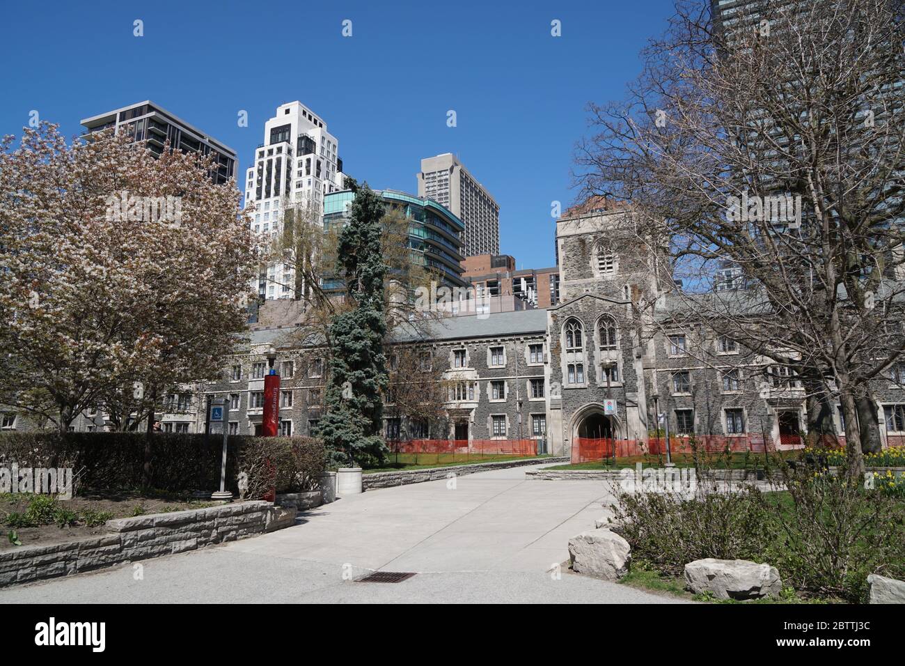University of Toronto campus in spring with daffodils and city skyline ...