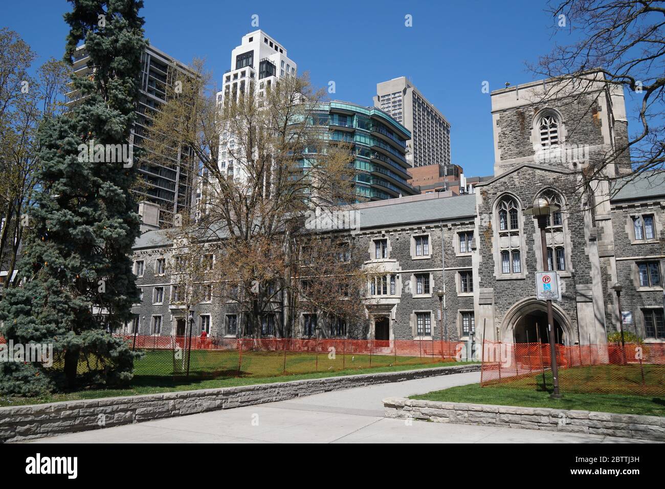 University of Toronto campus in spring with daffodils and city skyline ...