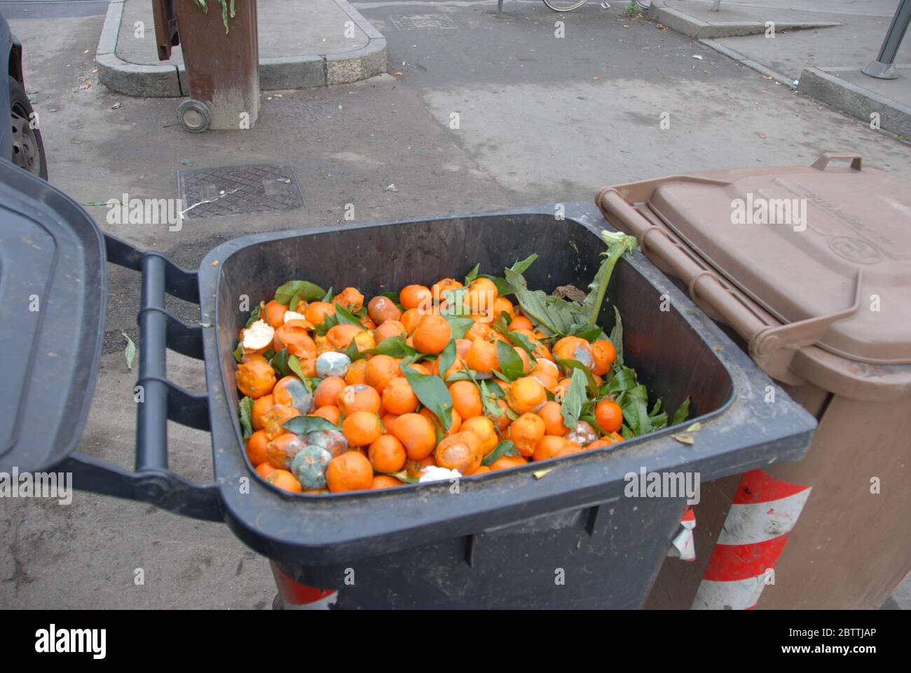 A bin with waste with food waste at the market Stock Photo - Alamy