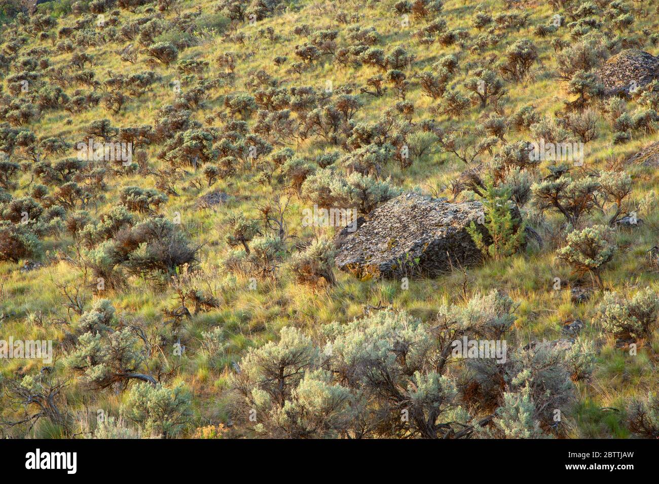 High desert discovery national scenic byway hi-res stock photography ...