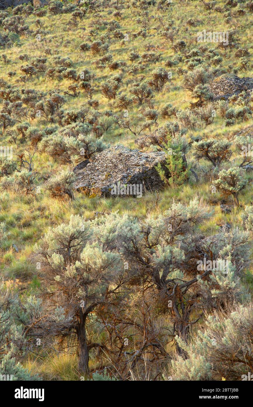 High desert discovery national scenic byway hi-res stock photography ...