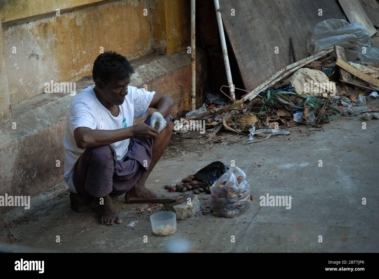 Man cracking open betel nuts on the street in Yangon, Myanmar, Asia ...