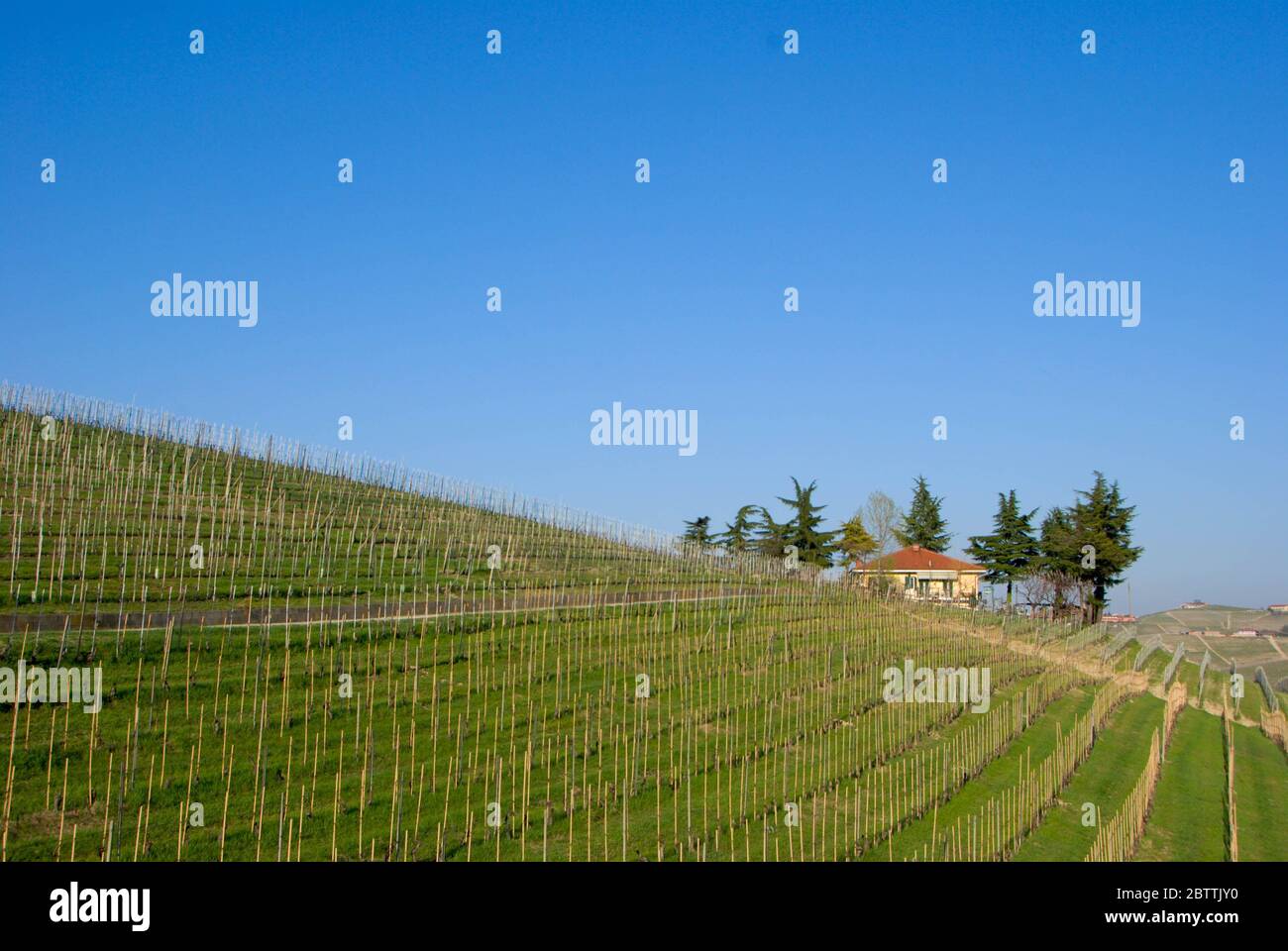 View of Langhe hills around Barolo with vineyards, Piedmont - Italy ...