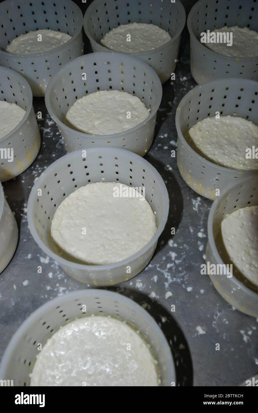 Typical Langhe cheese: the Toma Stock Photo - Alamy
