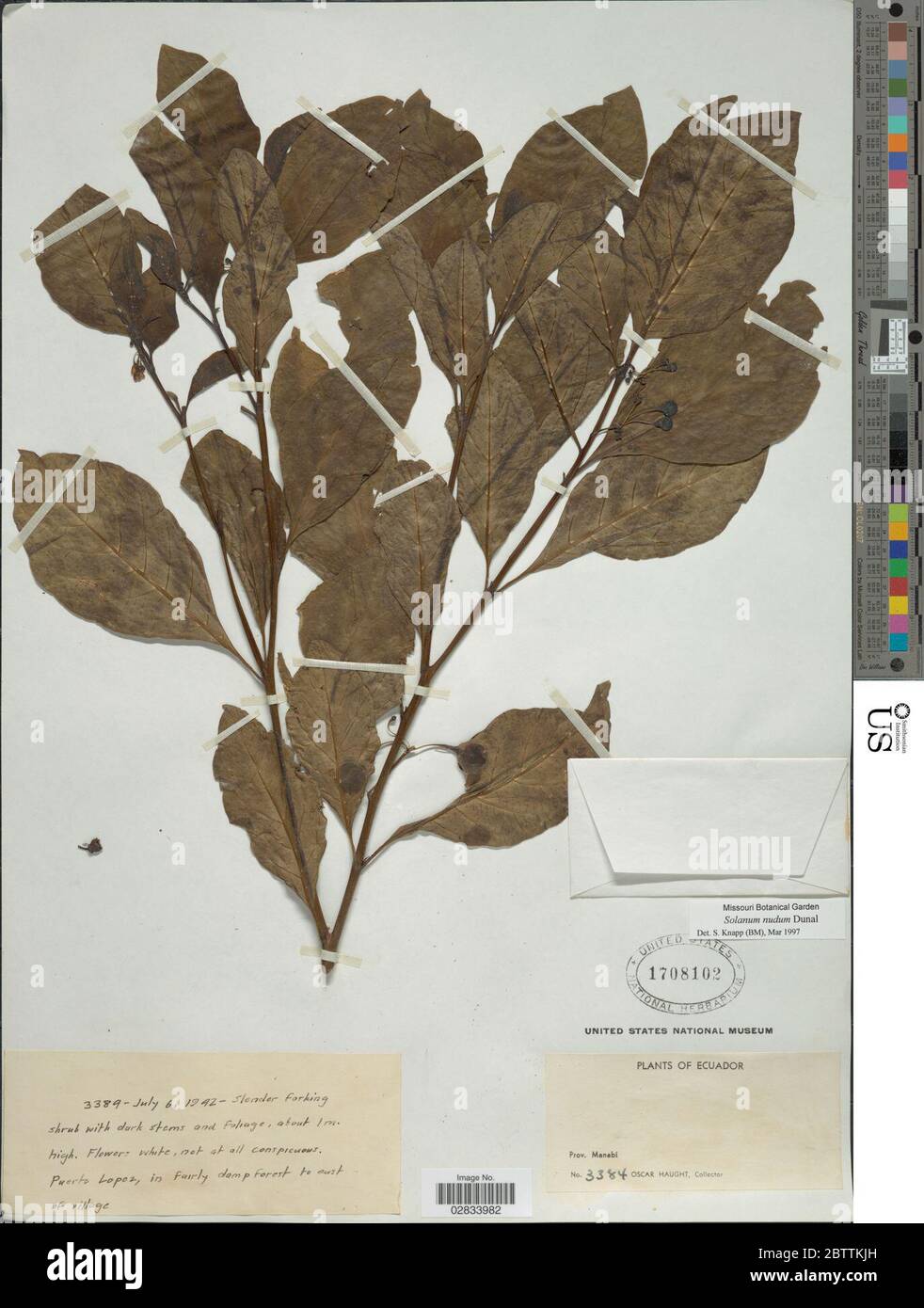 Nudum hi-res stock photography and images - Alamy