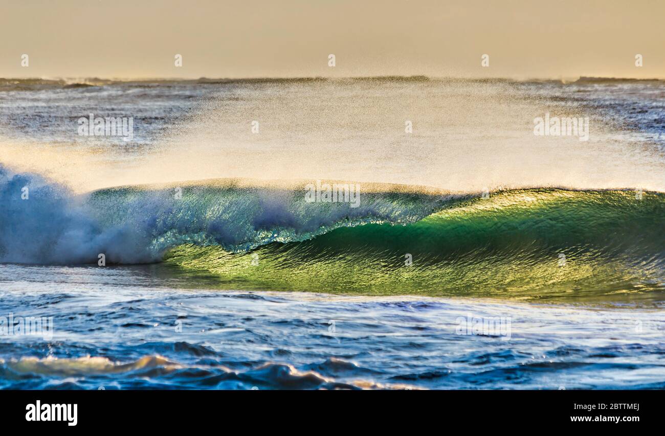 Rolling wave in bright sun light streaming to Northern beach of Sydney ...