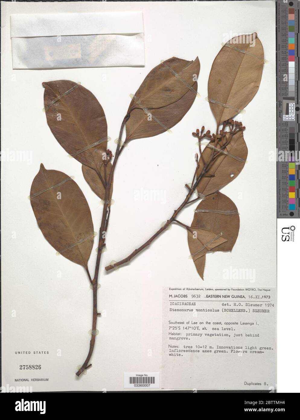 Sleumer hi-res stock photography and images - Alamy