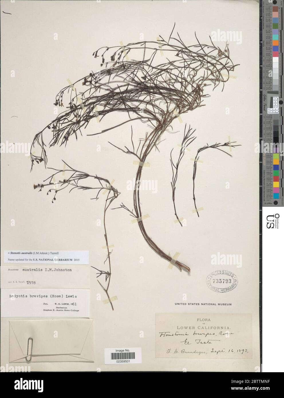 Terrell image hi-res stock photography and images - Alamy